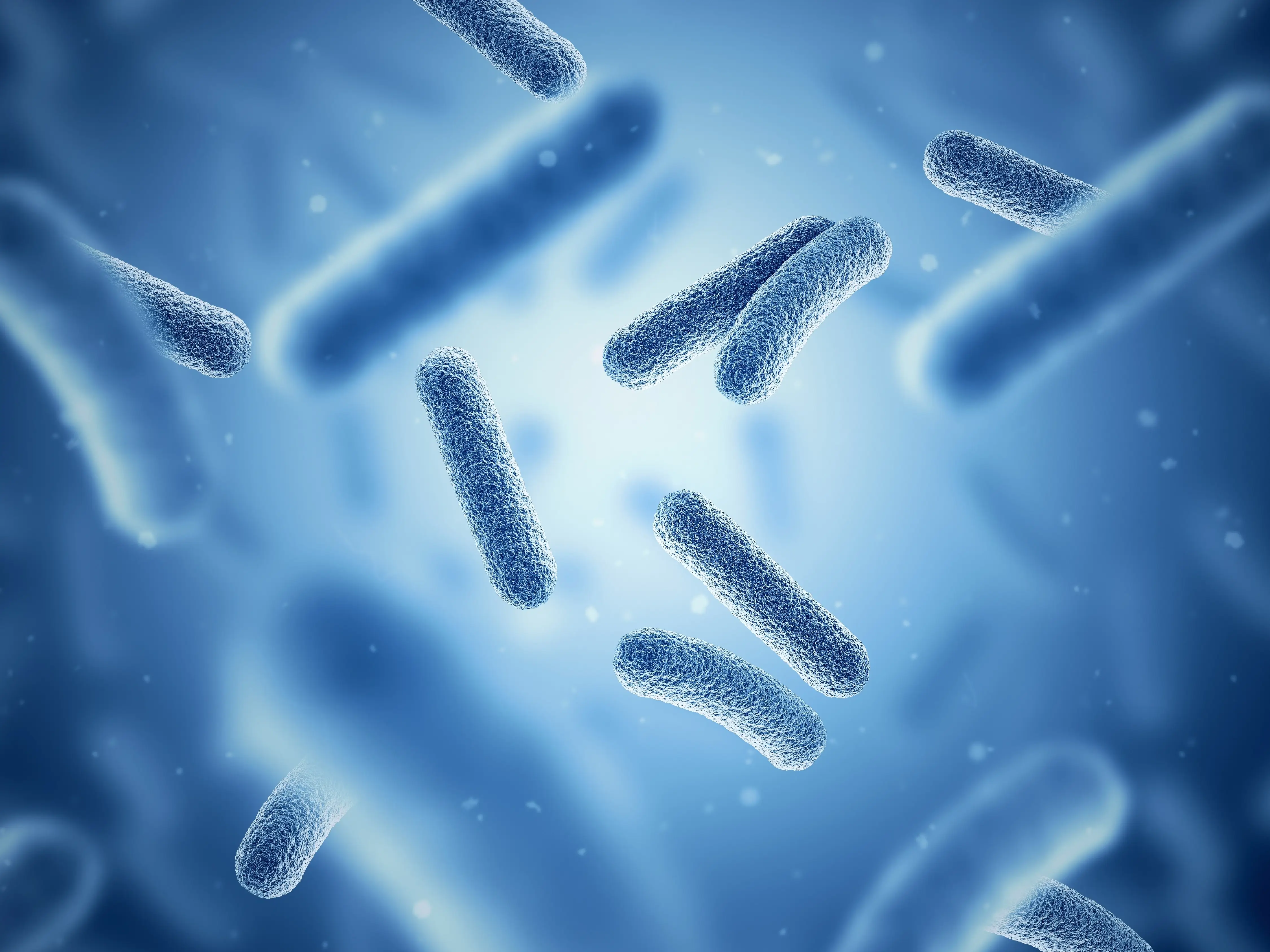 Tout savoir sur les Prébiotiques, Probiotiques et Postbiotiques